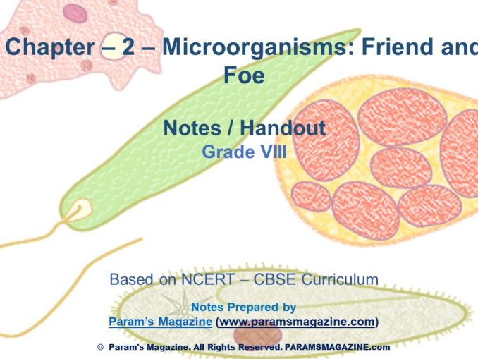 How do Microbes and Cells look like? | Param's Magazine